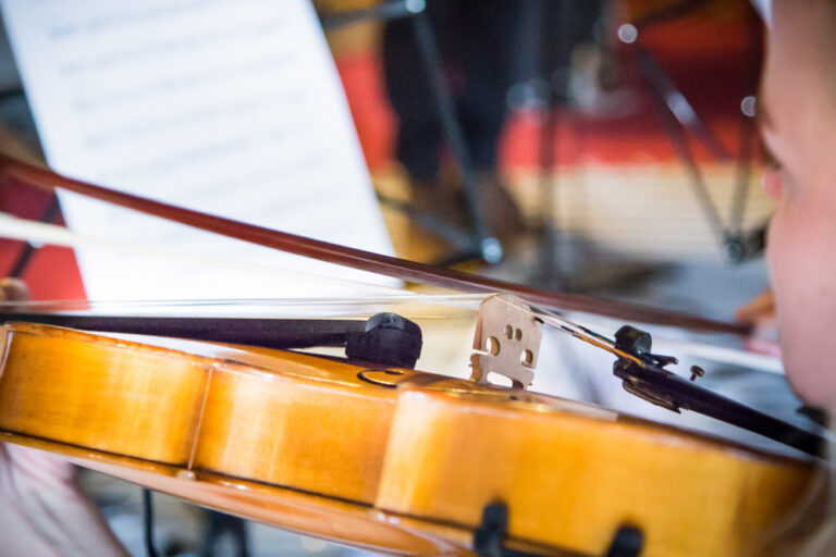 REMIC B5201 LB/WL1 Viola - Live Mic. for Wired and Wireless Systems ...